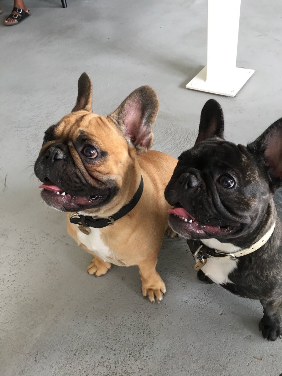 Constructor Labs (@ConstructorLabs) | Twitter