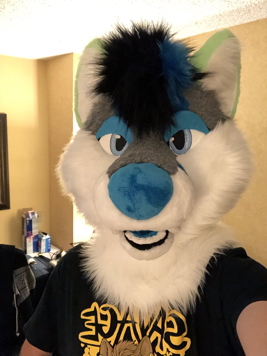 Mori (@MoriMutt) | Twitter