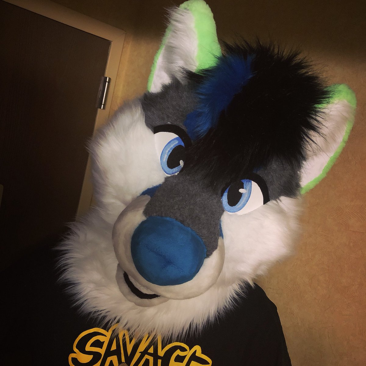 Mori (@MoriMutt) | Twitter