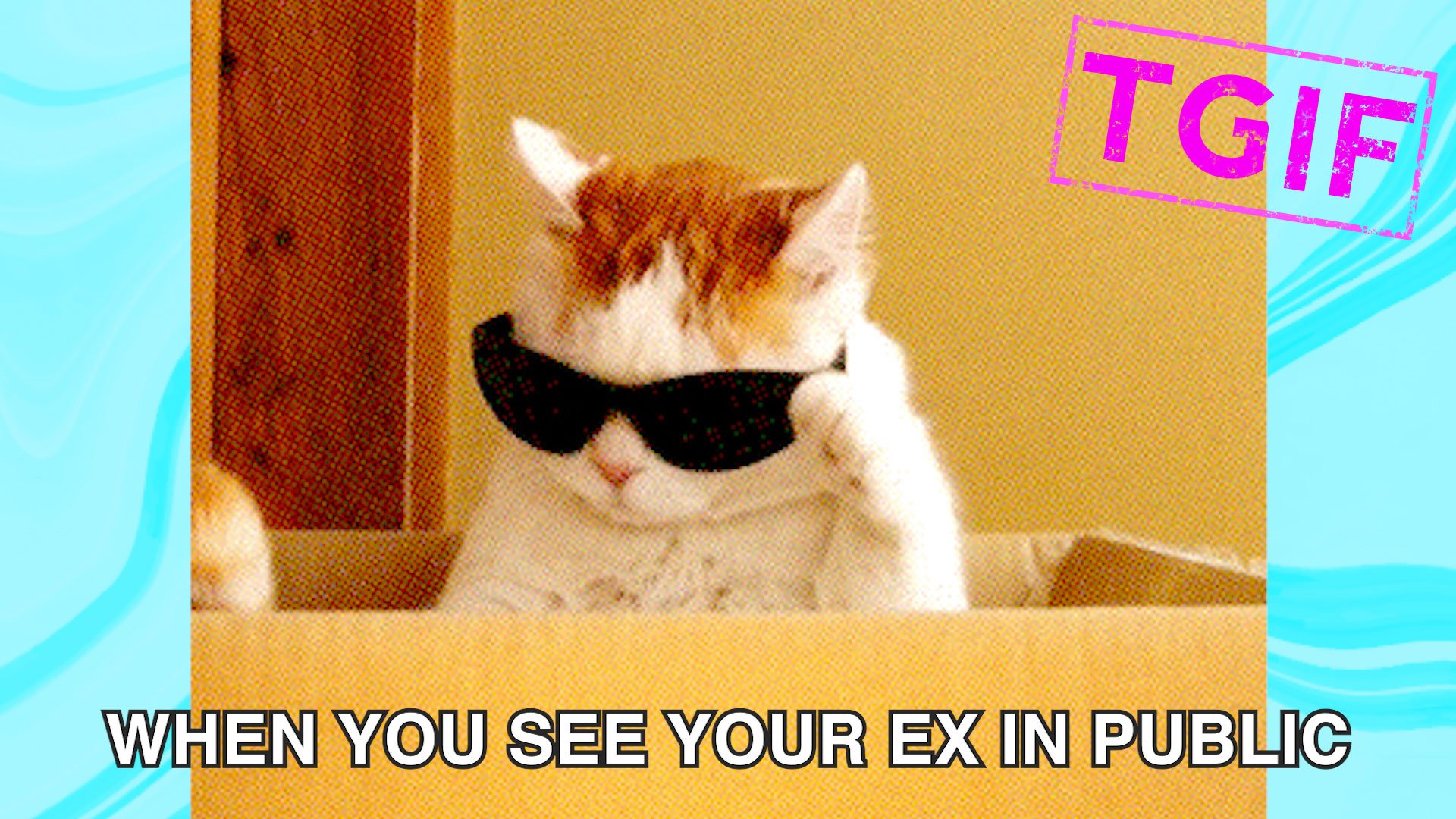Tgif Cat Gif New Trending GIF Tagged Friday Tgif Fridays Thank…