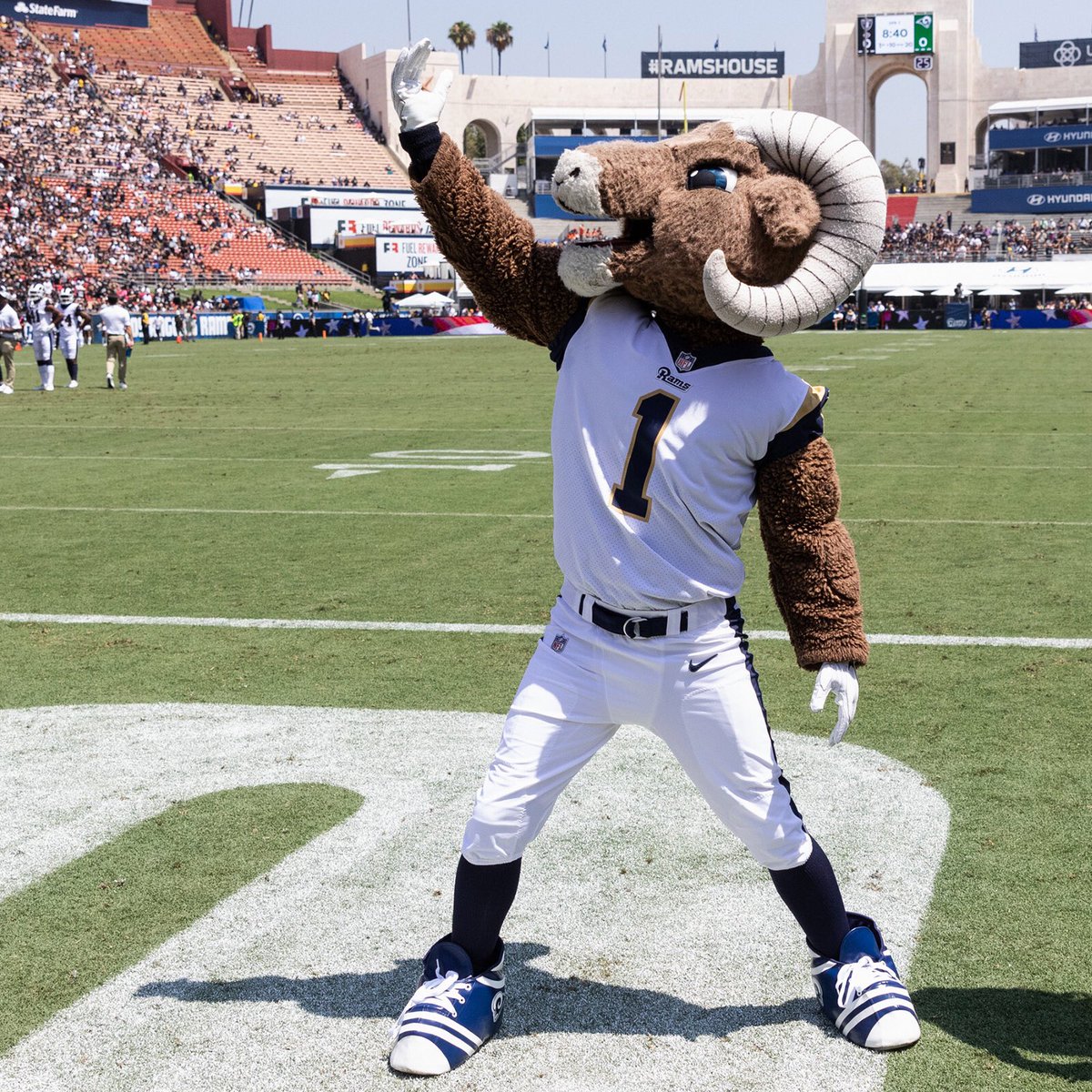 329 best Page Nfl images on Pholder | Rampage NFL, NY Cinfluencersnark ...