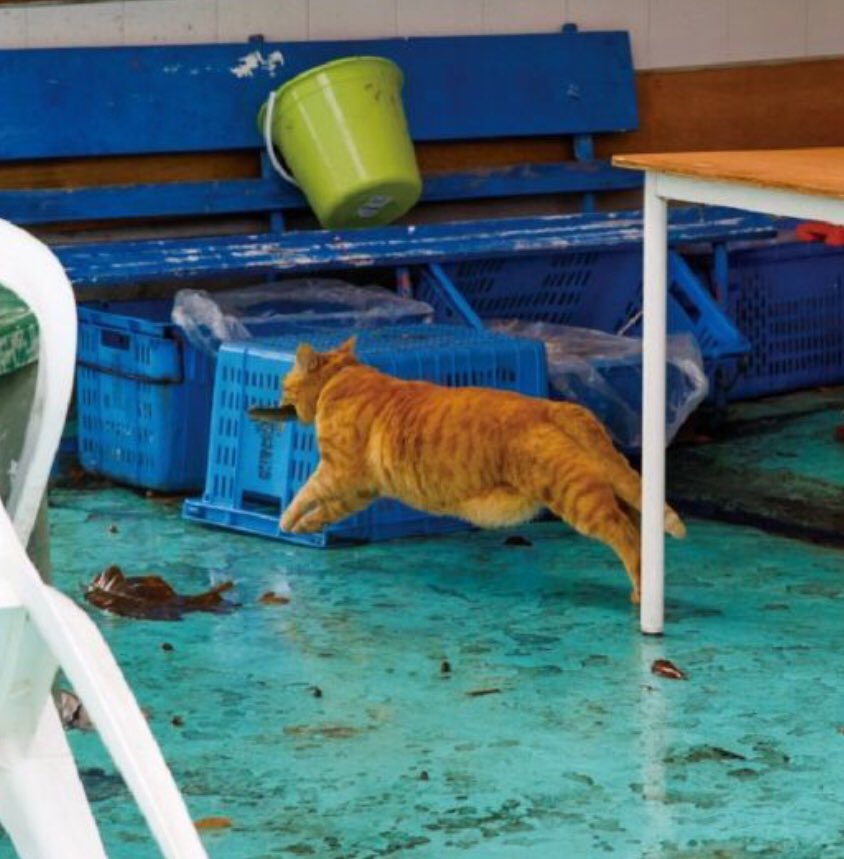 pitlight (@BkGd_) | Twitter