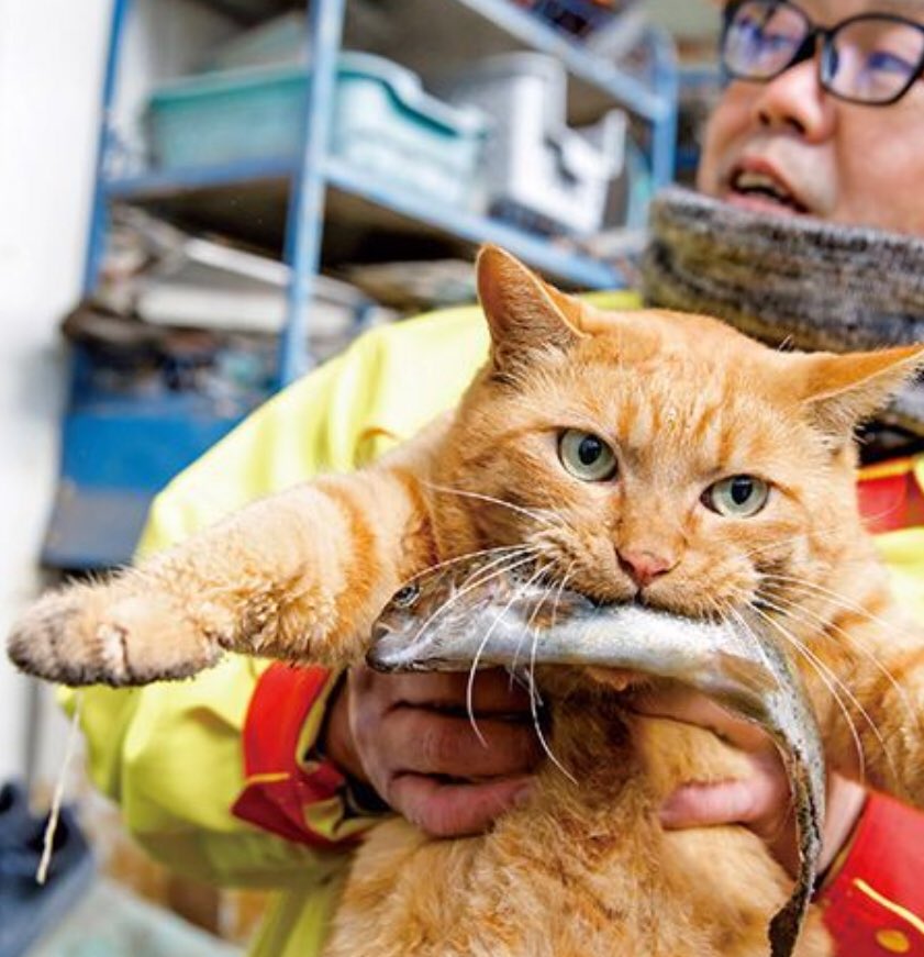 pitlight (@BkGd_) | Twitter