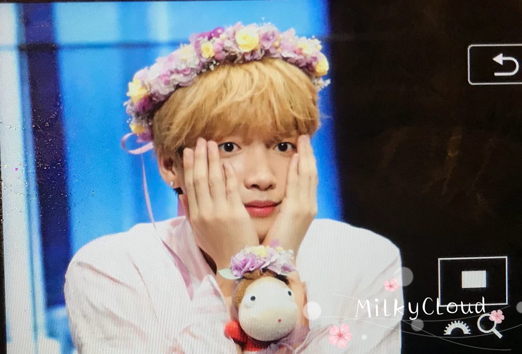 MilkyCloud밀구🍀 (@alisa_cloud) | Twitter