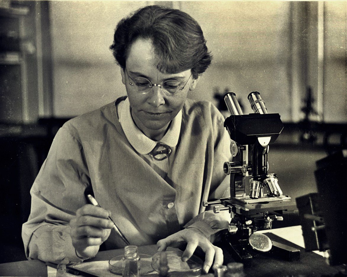 La historia de Barbara McClintock