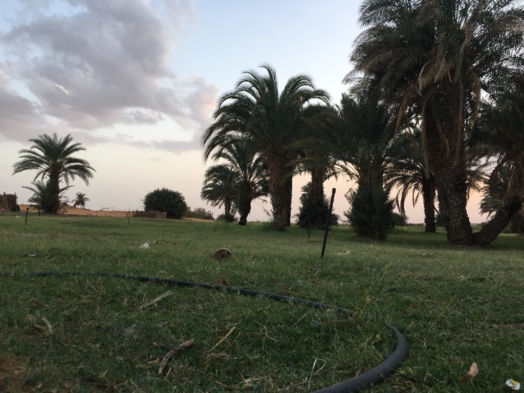 pilot (@pilot_moha) | Twitter