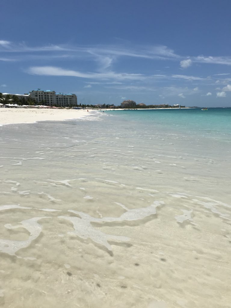 Mitch Warren (@MitchWarren) | Twitter