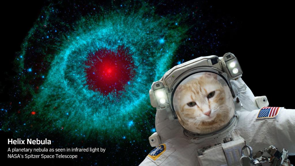 Cat Planetary Nebula Wallpaper