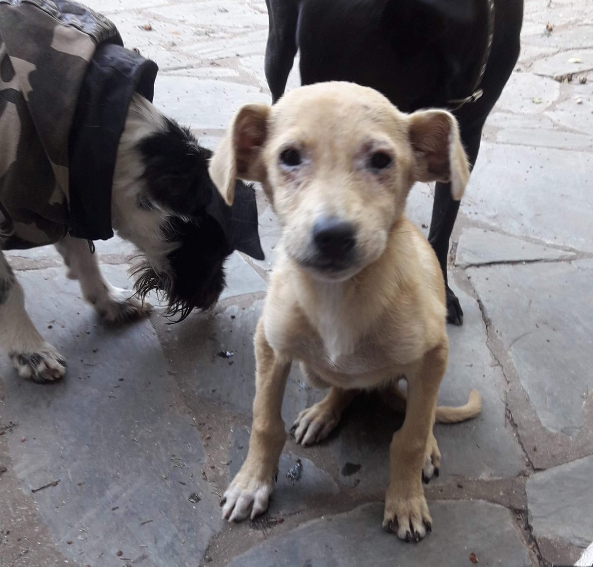 Victoria Raverta (@vraverta) | Twitter