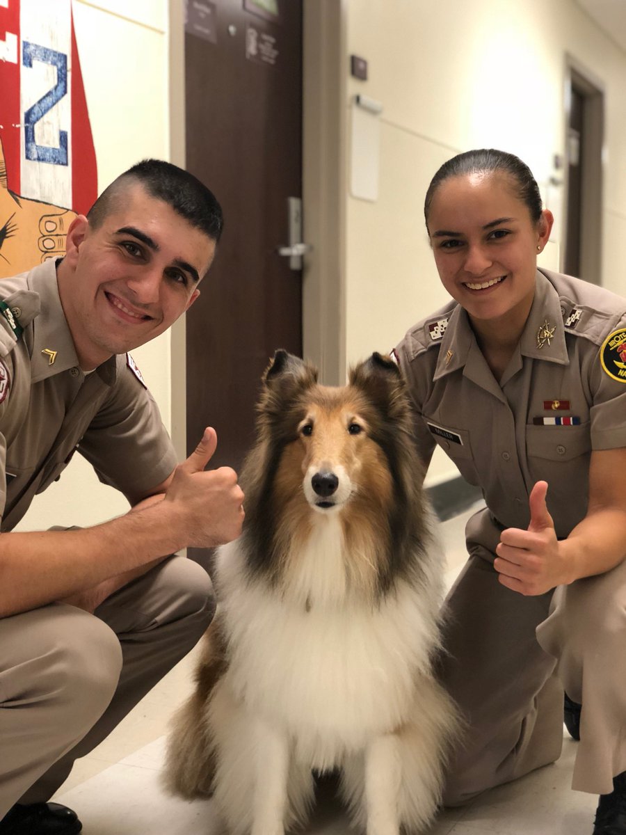3518 best Aggies images on Pholder | Aggies, TAMU and Reveille
