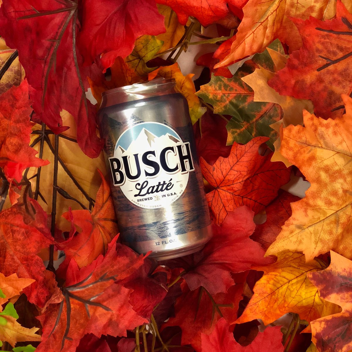 (OT) Busch Light is changing their labels to Busch Latté this fall, I ...