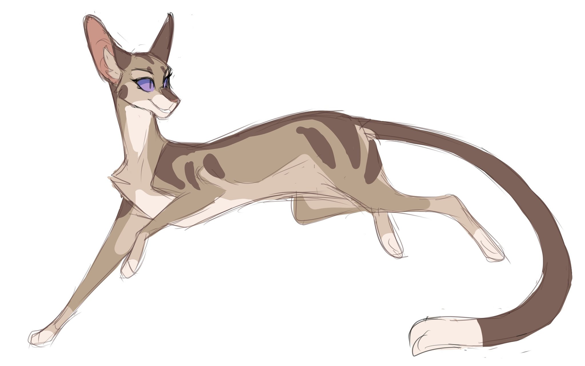 Warrior Cats Heatherpaw