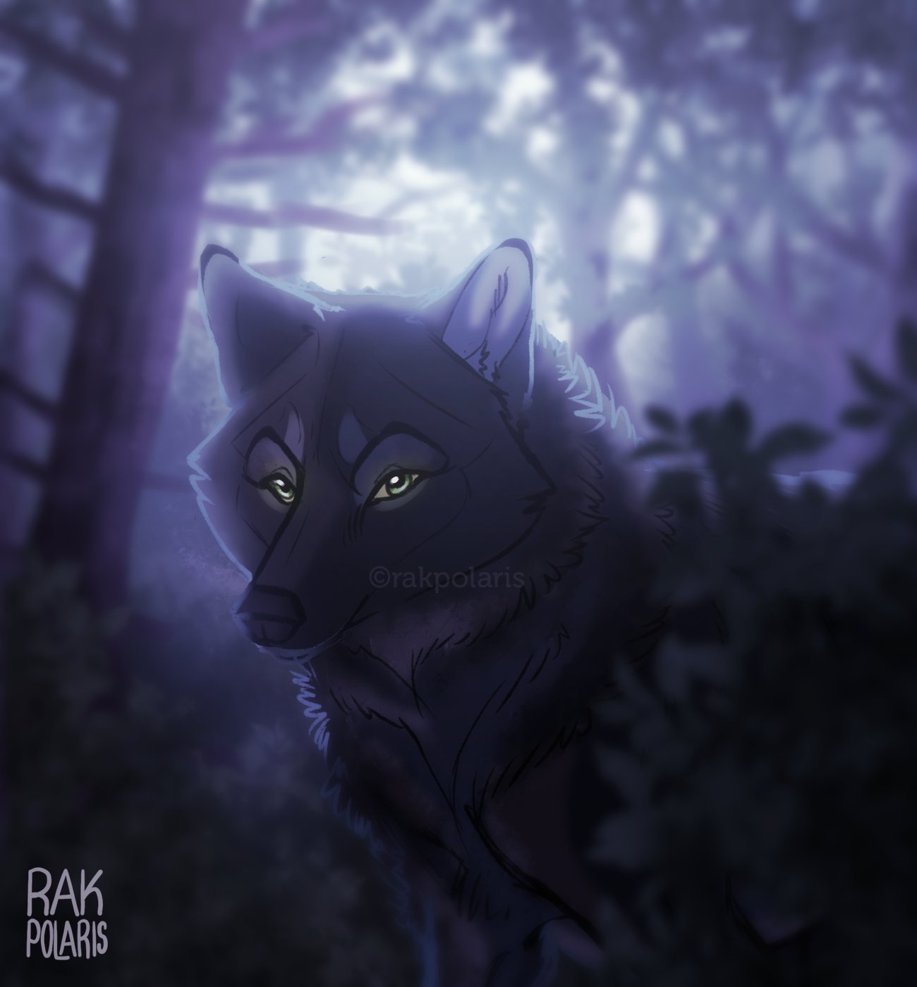 Beautiful Black Wolf