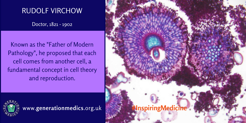 Rudolf Virchow Microscope