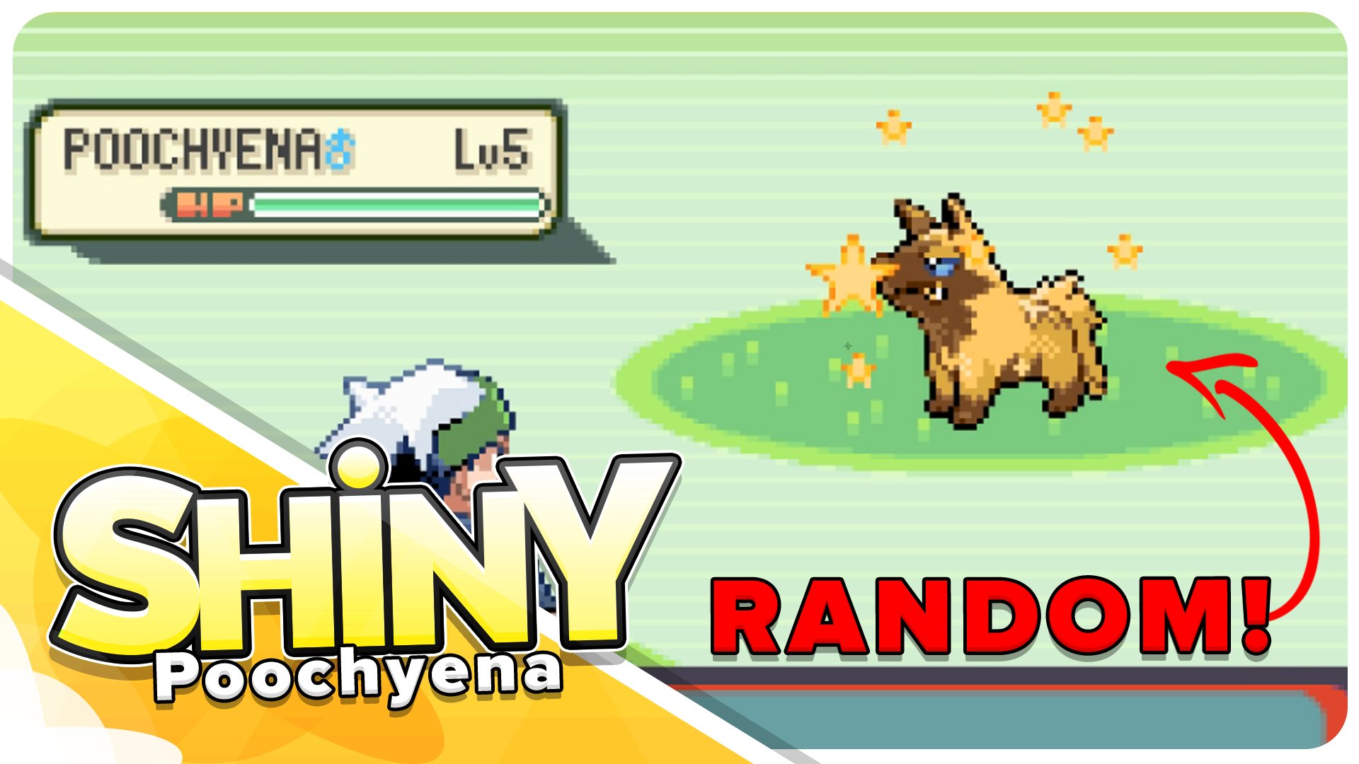Shiny Poochyena Pokemon X