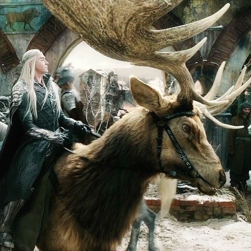 Lee Pace The Hobbit Moose