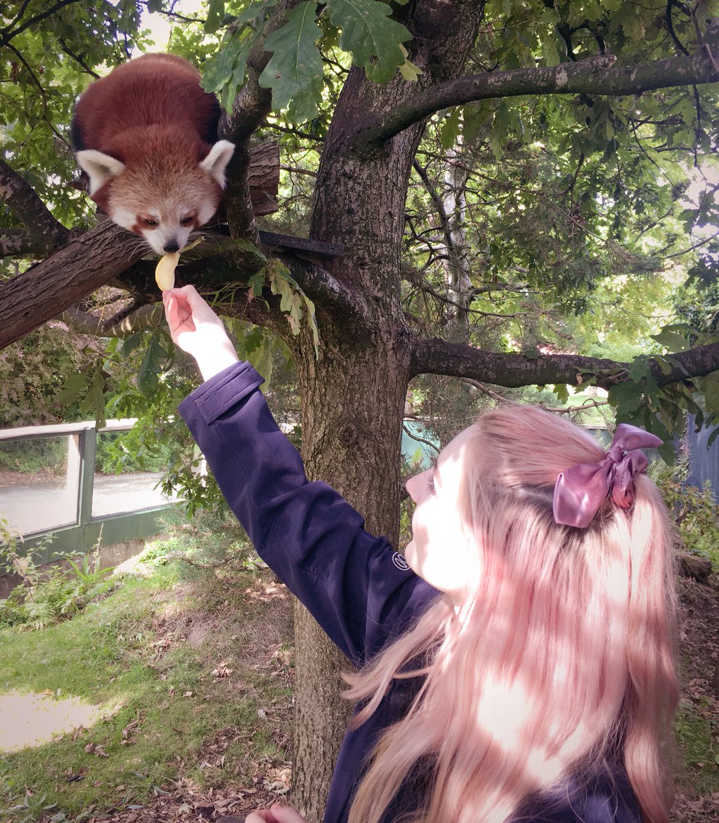 21 best u/ldshadowlady images on Pholder | #2009to2019 🤷‍♀️🙍‍♀️