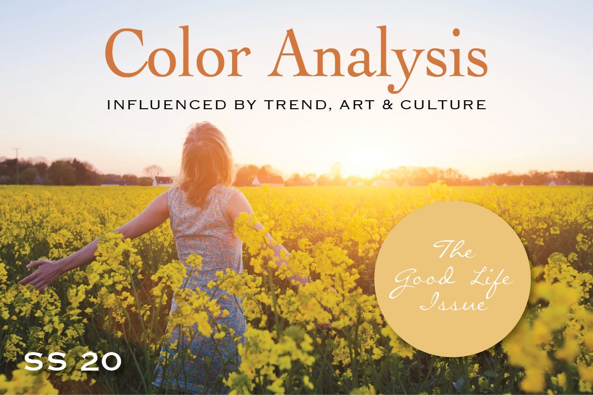 Home - Color Solutions International