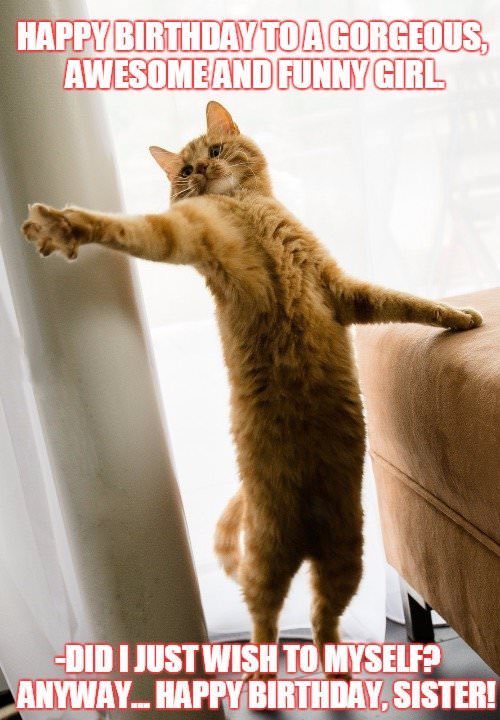 Happy 30th Birthday Cat Meme