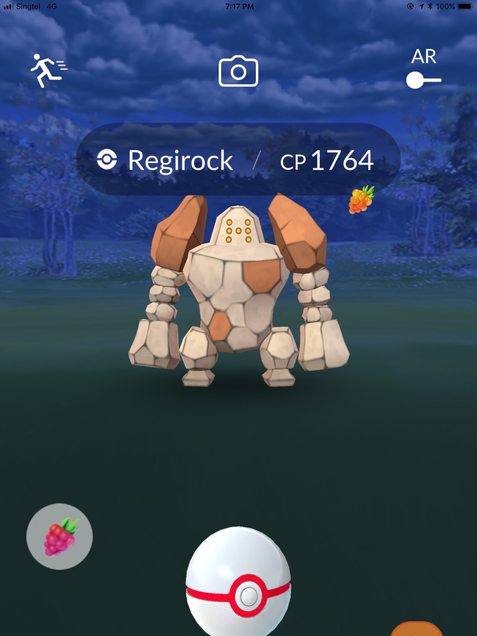 Where Do You Get Regirock
