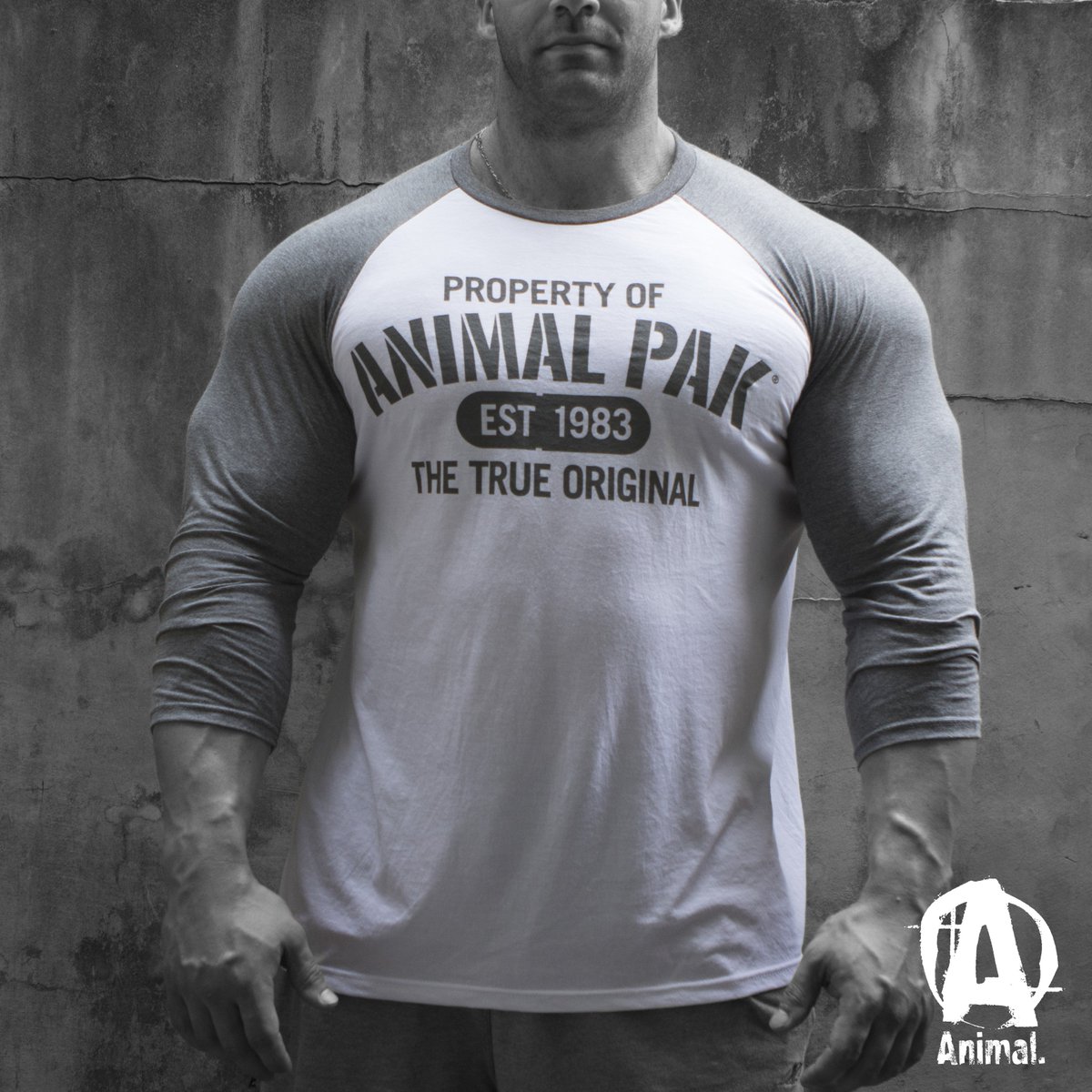 Animal Bodybuilding Team