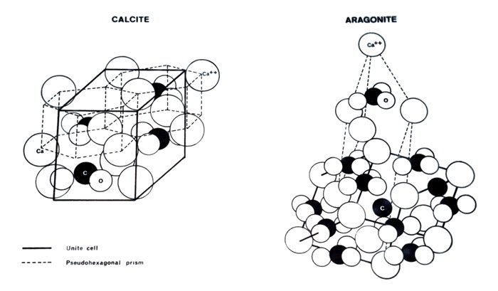 Aragonite Structure