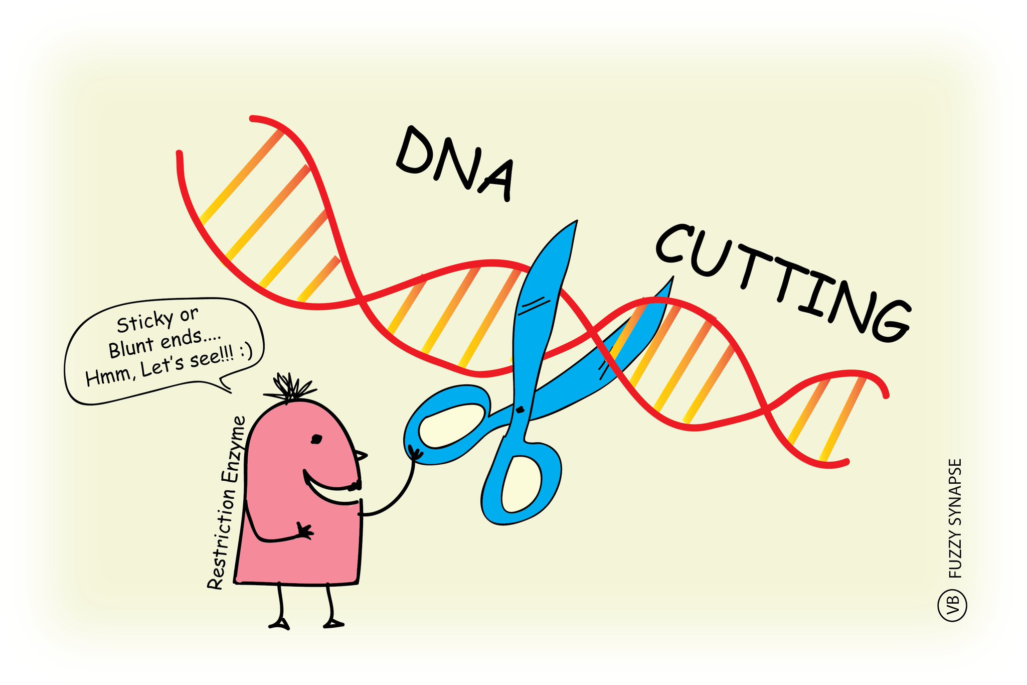 Restriction Enzymes Animation