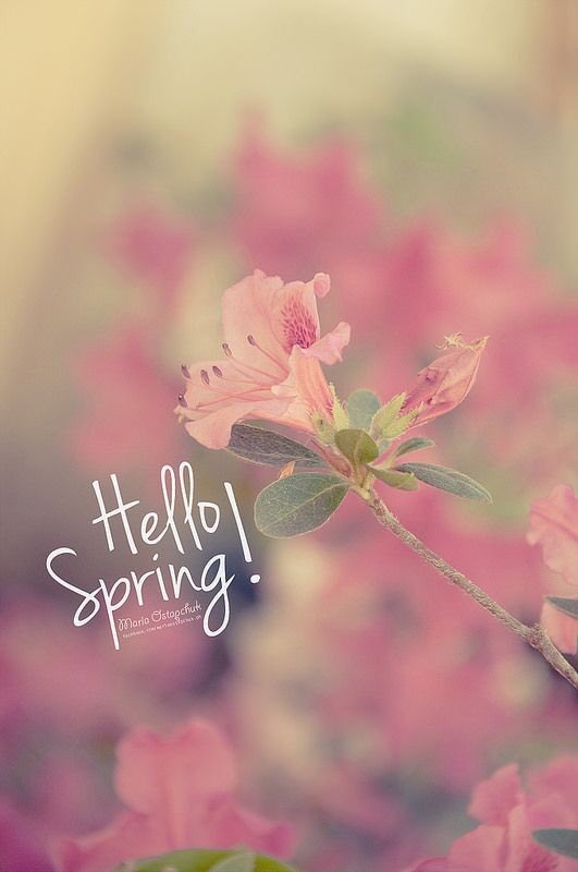 Happy Spring Day Wallpaper