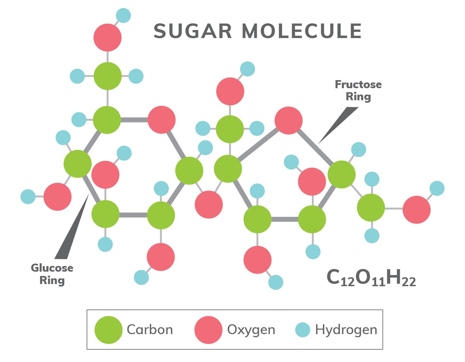 Simple Sugar Molecule Model