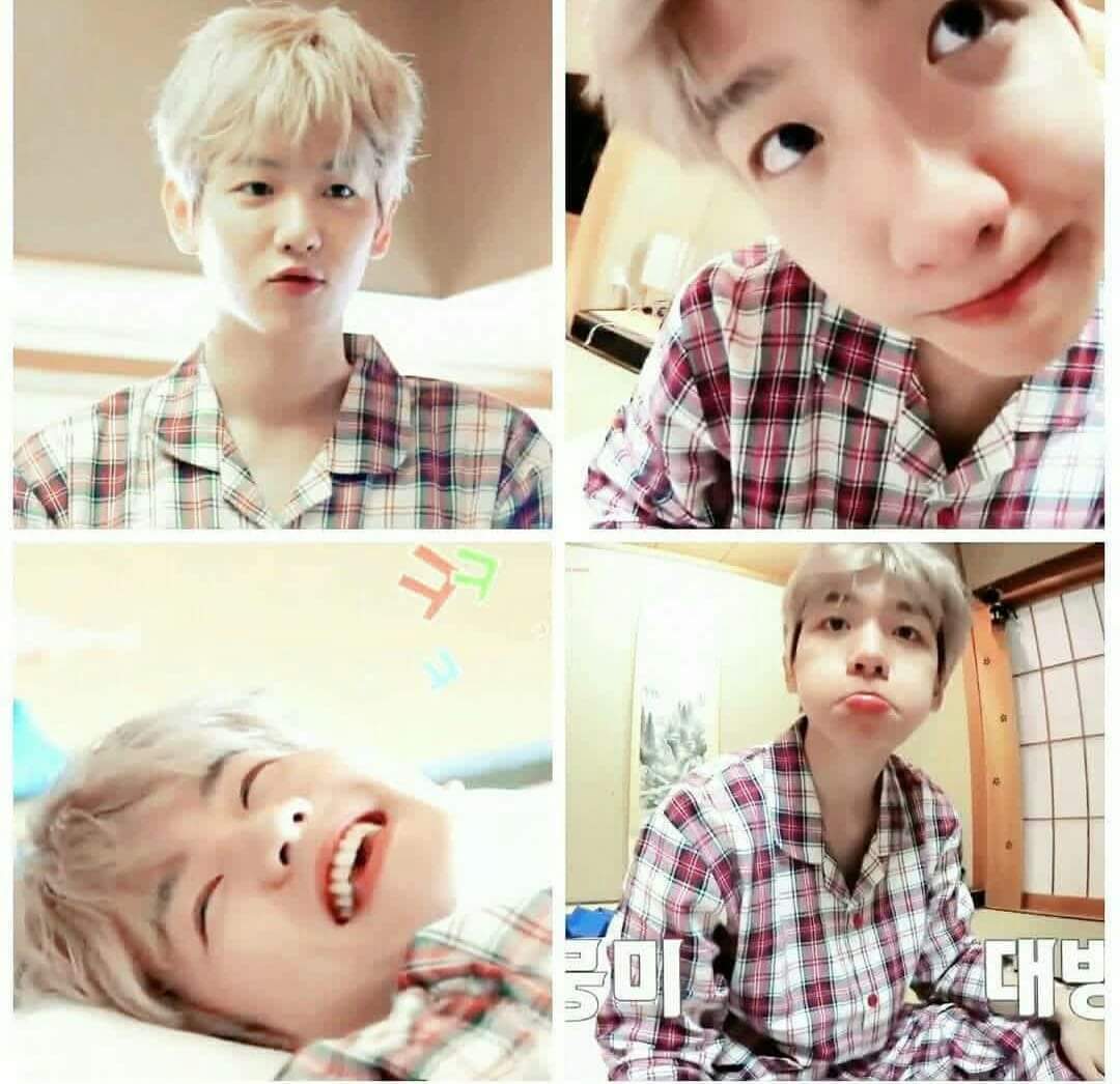 캐롤라이나 (@karolina_solano) | Twitter