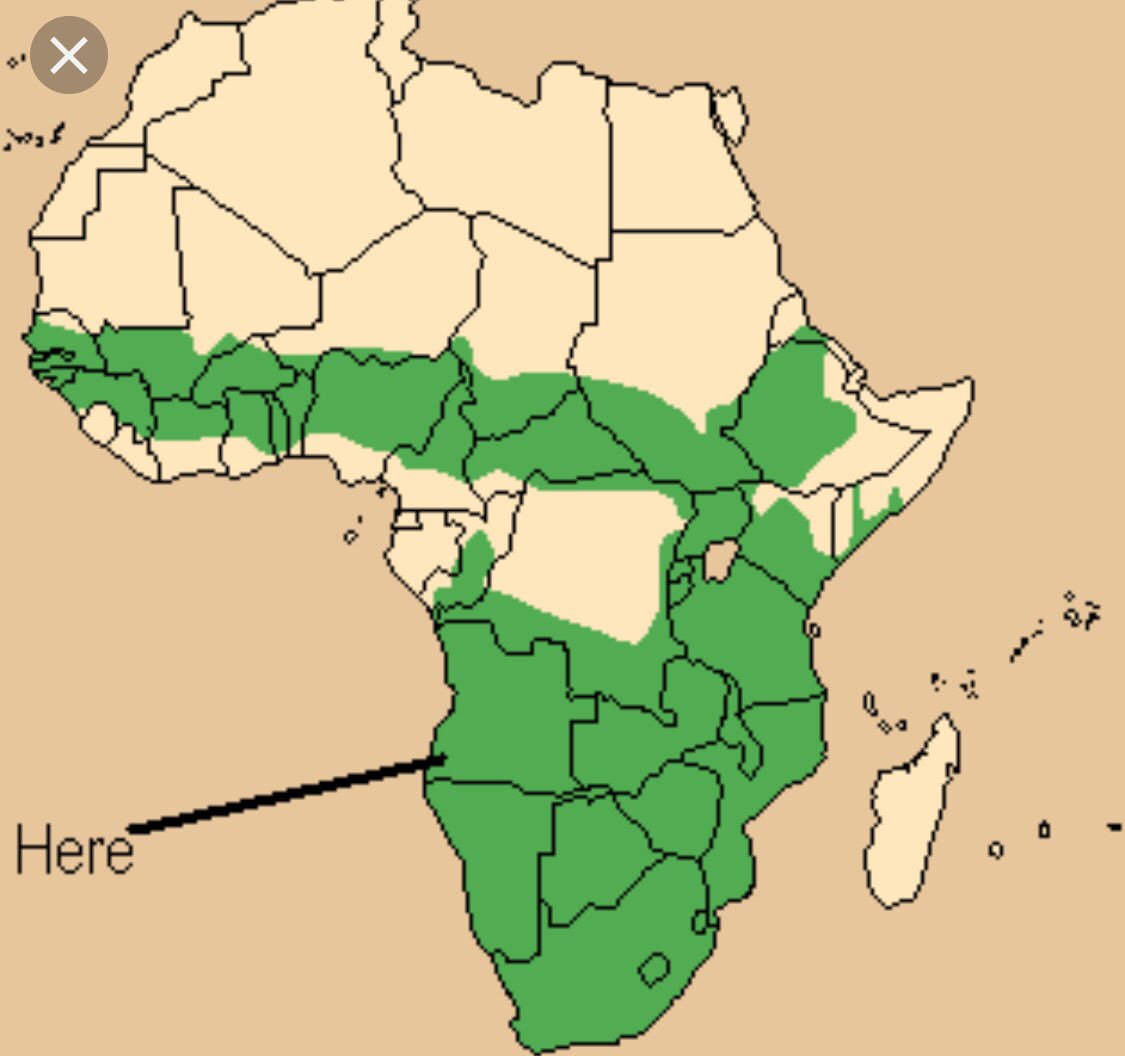 African Grasslands Map