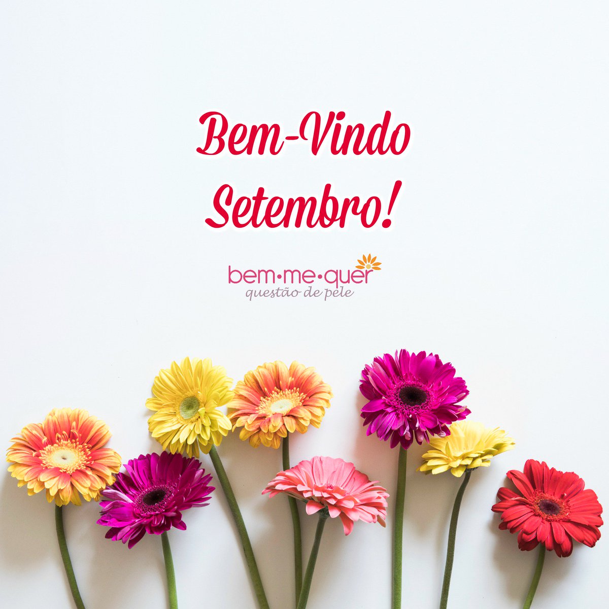 Bem Vindo Setembro Tumblr Welcome September