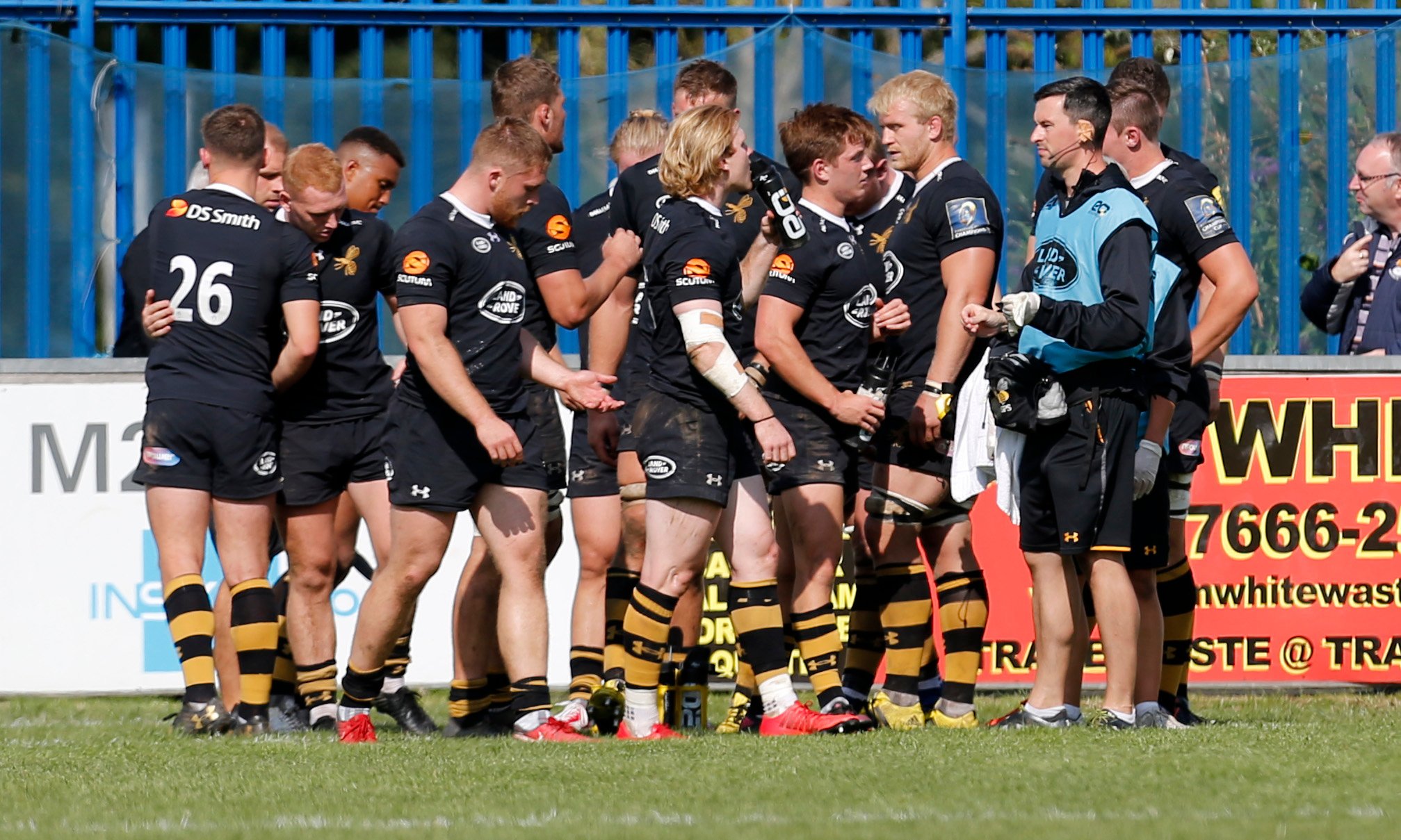 Wasps Rugby Club