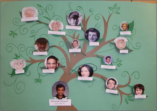Family Tree School Project