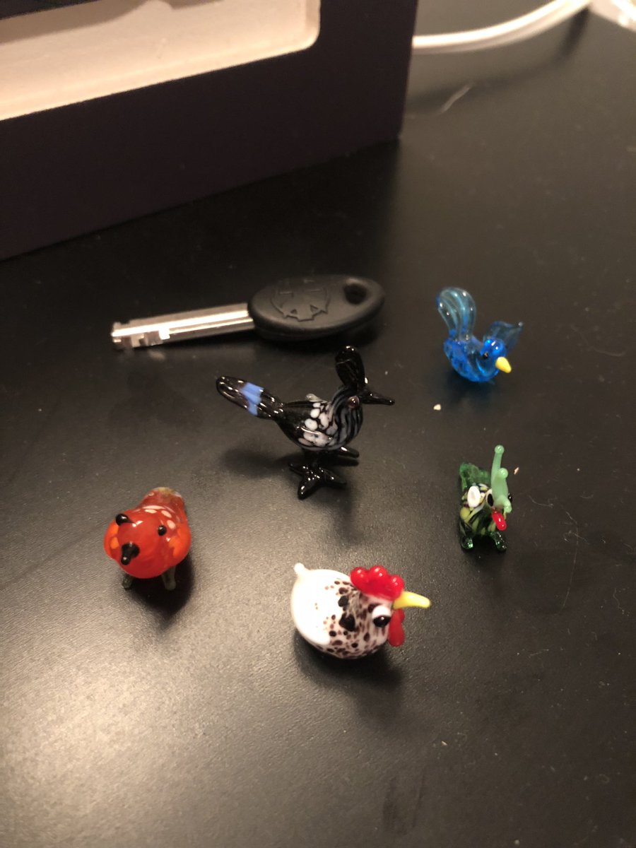 Logan Phillips (@LoganTTPhillips) | Twitter