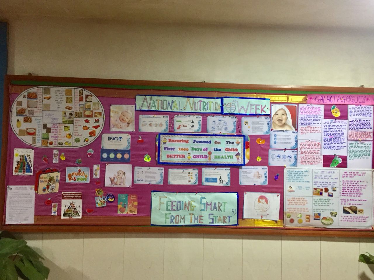 Nutrition Bulletin Board Display
