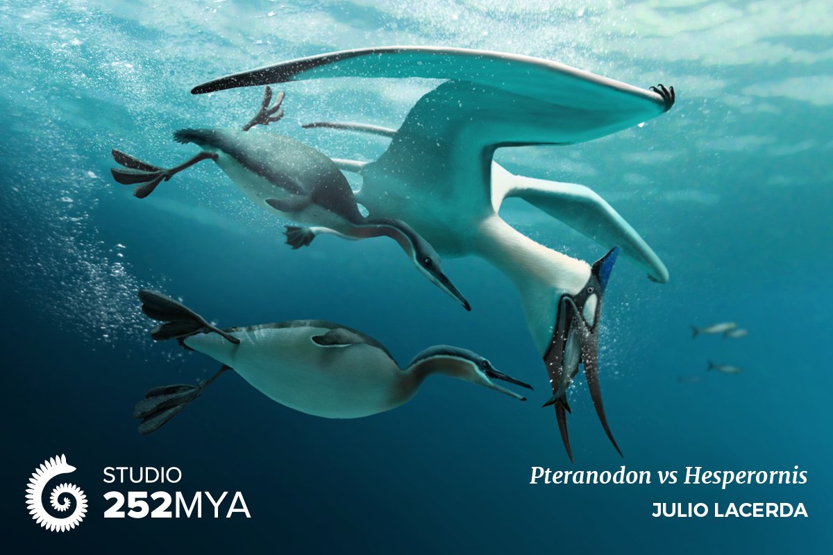 Pteranodon Size Comparison