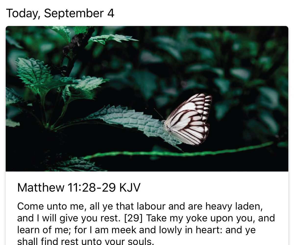 Deanna Wright (@DDWright73) | Twitter