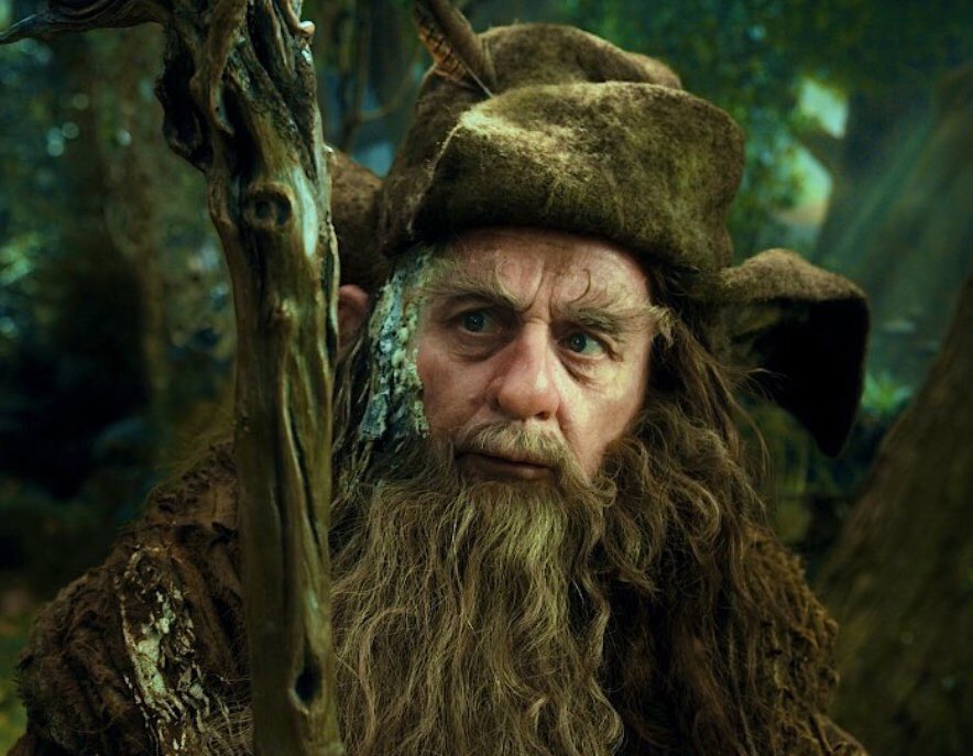 103 best Radagast images on Pholder | Lotr, Lotrmemes and Middle Earth ...