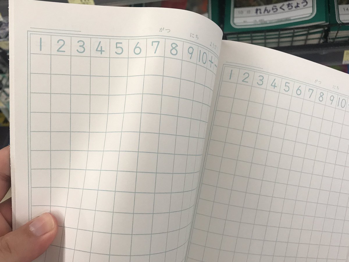 Japanese School Notebooks