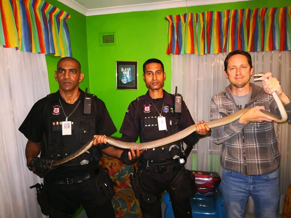 Bright Munemo™ (@Munemo_Official) | Twitter