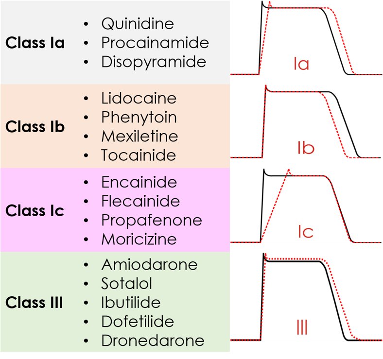 Vaughan Williams Antiarrhythmic Classification Of Meds The Vaughan