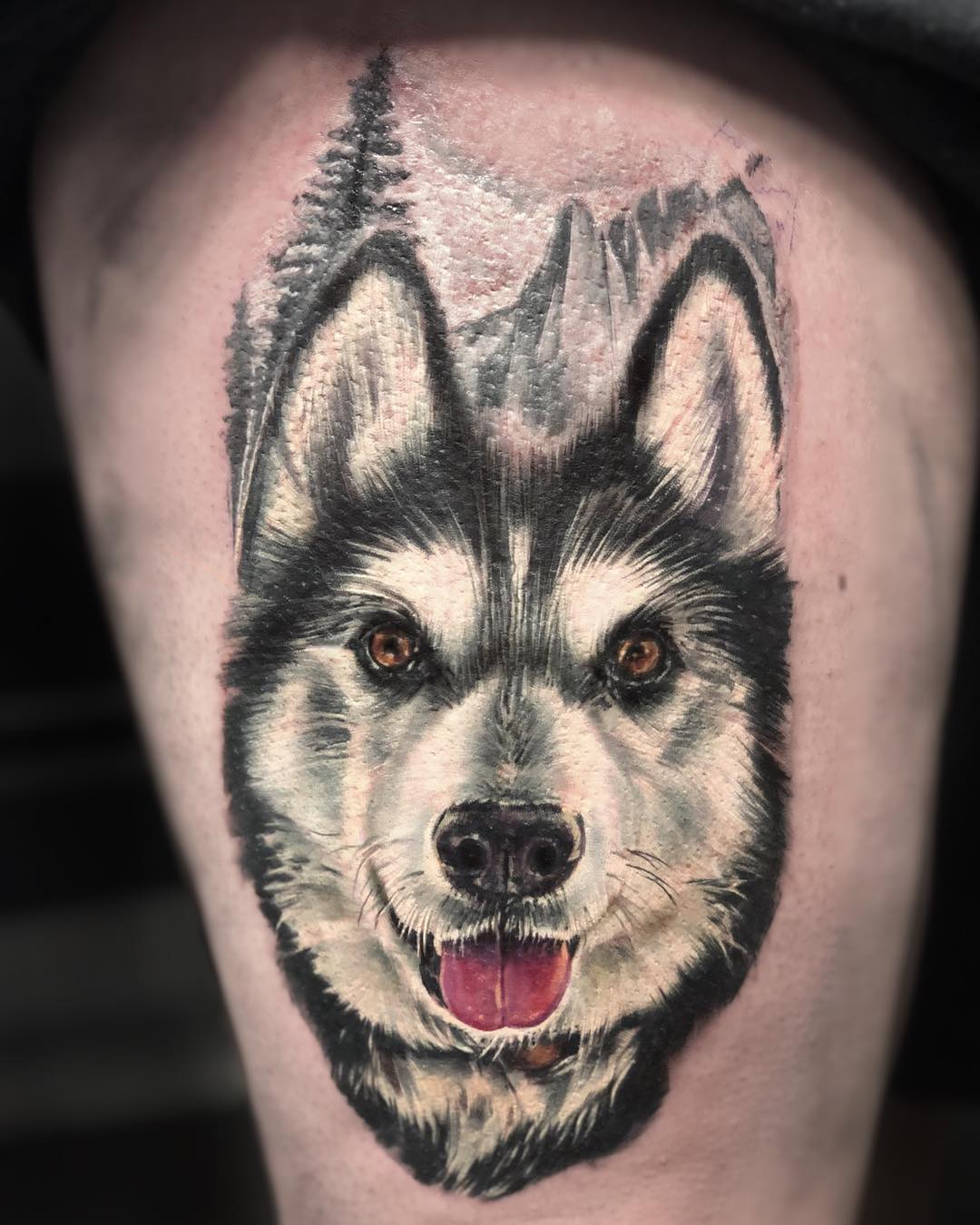 Husky tattoo ideas - Bronctattooaus.com