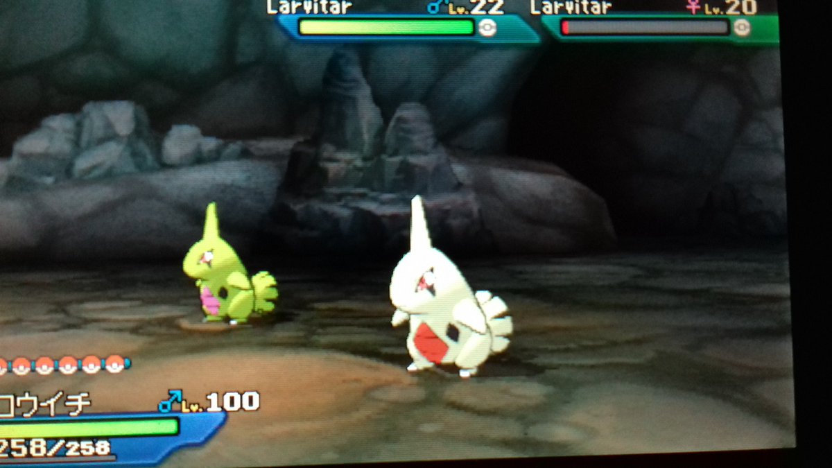 Shiny Pupitar X And Y