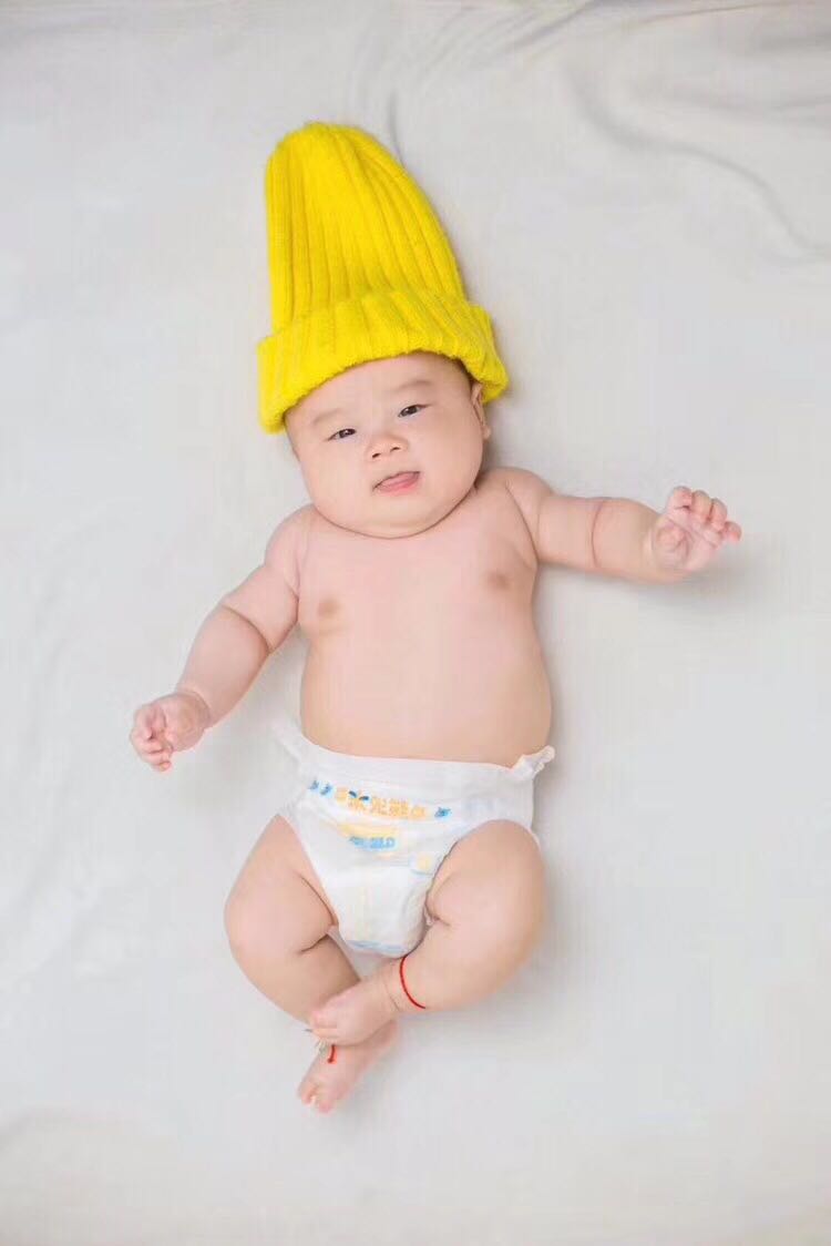 Midday Bear (@Middaybear) | Twitter