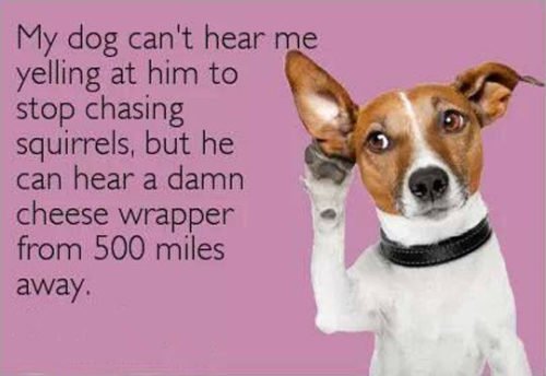 Selective Hearing Meme