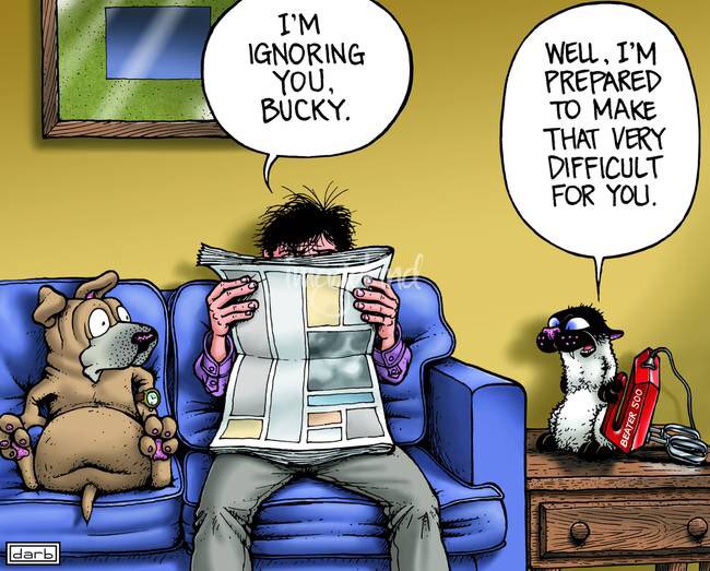 Get Fuzzy Comic Strip