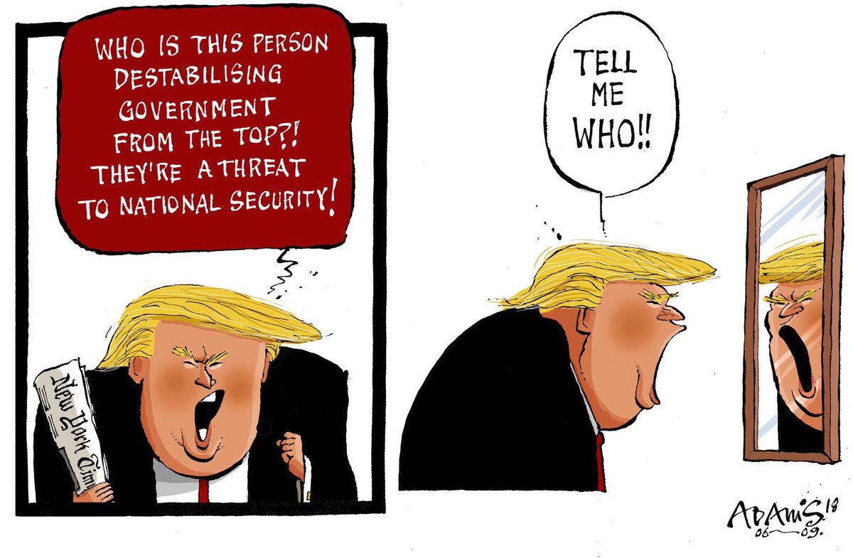 Trump looks in a mirror | The Inquiring Mind