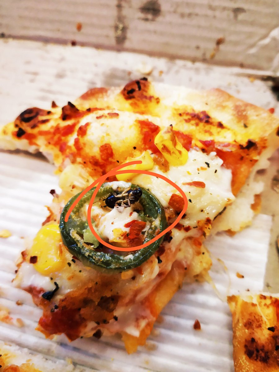 Consumer tweets : Domino’s served a roasted insect | PesPro