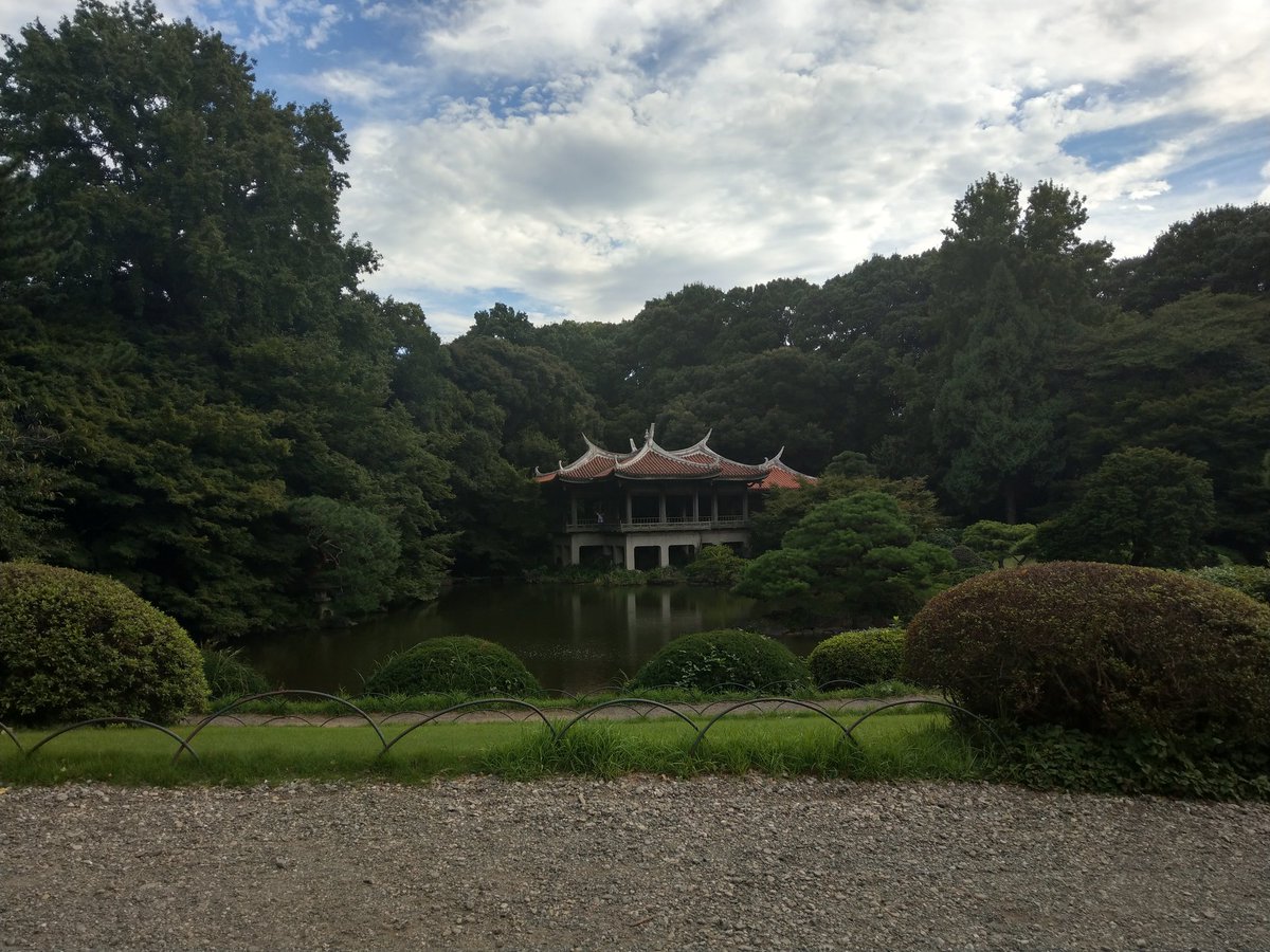 35 best Twitter @dyrus images on Pholder